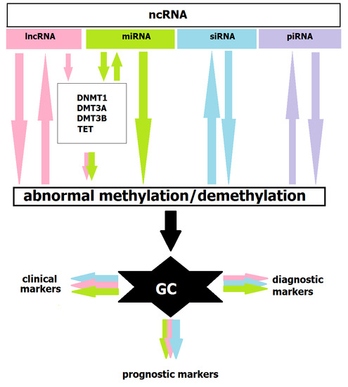 IJMS | Special Issue : DNA and RNA Modifications in Epigenetic ...