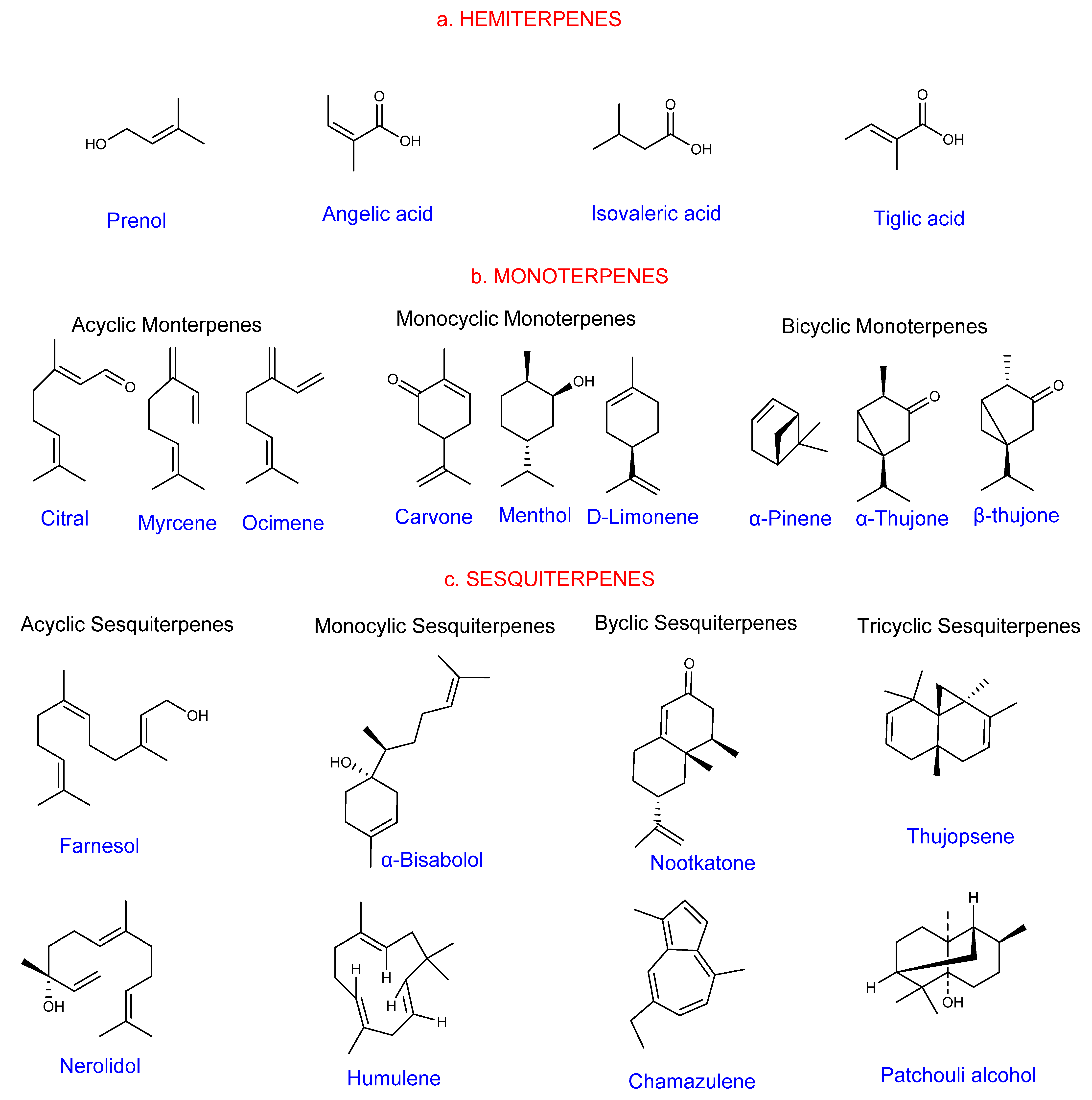 Terpenes Chemistry Encyclopedia Structure Name Molecule Terpenes Chemistry Encyclopedia Structure Name Molecule