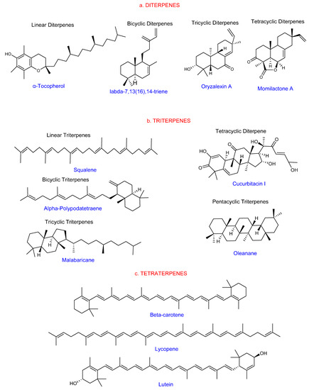 Biochemistry of Terpenes and Recent Advances in Plant Protection
