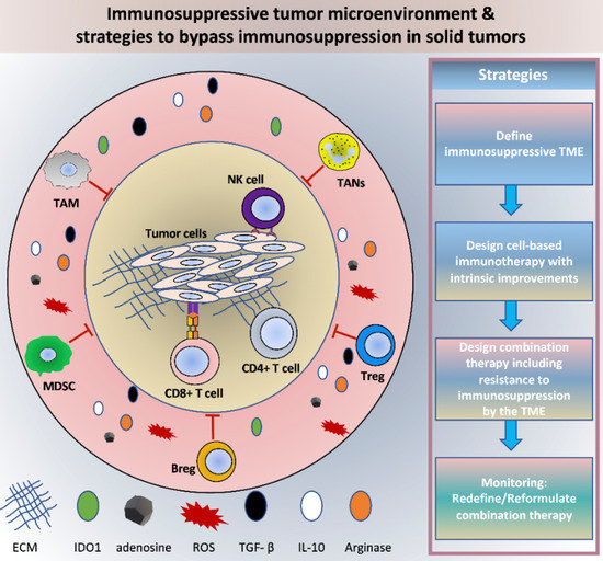IJMS | Free Full-Text | Hijacked Immune Cells in the Tumor ...