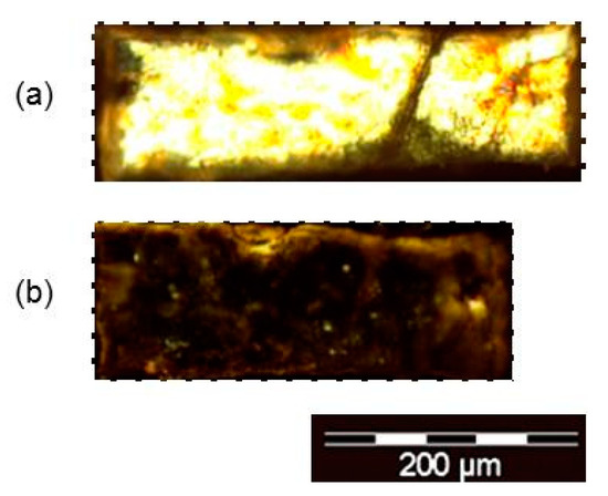 A Highly Versatile Polymer Network Based on Liquid Crystalline Dendrimers