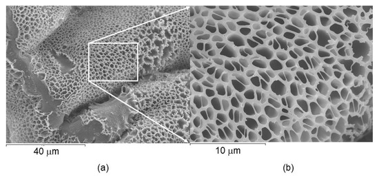 A Highly Versatile Polymer Network Based on Liquid Crystalline Dendrimers