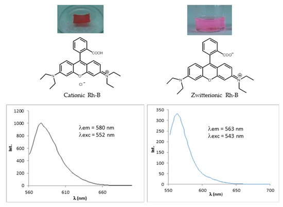 A Highly Versatile Polymer Network Based on Liquid Crystalline Dendrimers