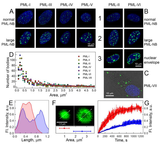 IJMS | Free Full-Text | The Role of Non-Specific Interactions in ...