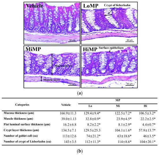 Novel Characterization of Constipation Phenotypes in ICR Mice Orally ...