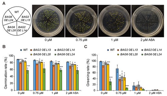 The BAG2 and BAG6 Genes Are Involved in Multiple Abiotic Stress ...