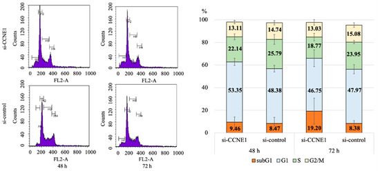 CCNE1 Is a Putative Therapeutic Target for ARID1A-Mutated Ovarian Clear ...