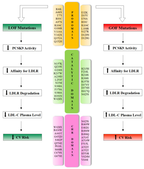 PCSK9 Biology and Its Role in Atherothrombosis