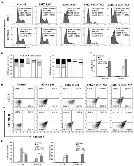 NBM-BMX, an HDAC8 Inhibitor, Overcomes Temozolomide Resistance in ...
