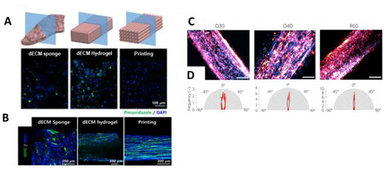 Current Strategies for the Regeneration of Skeletal Muscle Tissue