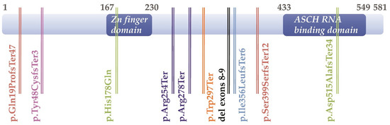 Inherited Defects of the ASC-1 Complex in Congenital Neuromuscular Diseases