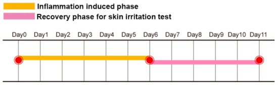 Strategies to Develop a Suitable Formulation for Inflammatory Skin ...