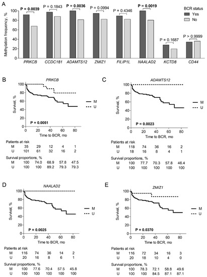 Promoter Methylation of PRKCB, ADAMTS12, and NAALAD2 Is Specific to ...