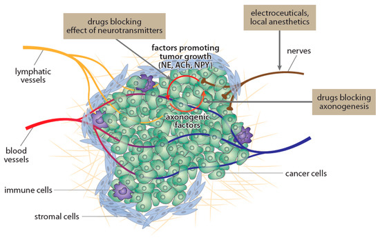 Neurobiology of Cancer: Introduction of New Drugs in the Treatment and ...