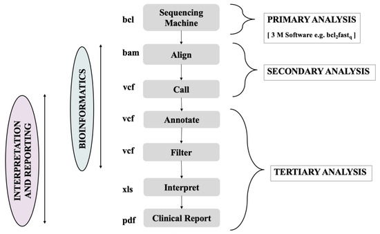 Bioinformatics Accelerates the Major Tetrad: A Real Boost for the ...