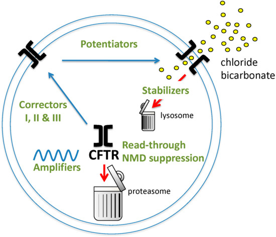 New Therapies to Correct the Cystic Fibrosis Basic Defect