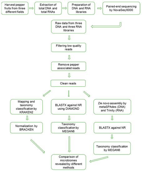 Comparative Study of Metagenomics and Metatranscriptomics to Reveal ...
