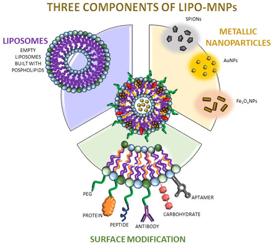 The Combination of Liposomes and Metallic Nanoparticles as ...