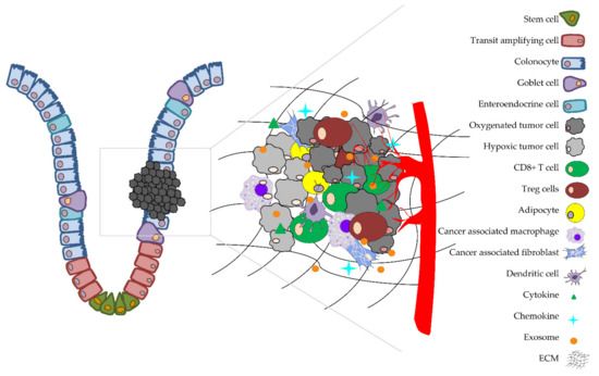 Metabolic Reprogramming of Colorectal Cancer Cells and the ...