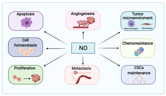 Role of Nitric Oxide in Gene Expression Regulation during Cancer ...