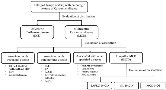 TAFRO Syndrome with Renal Thrombotic Microangiopathy: Insights into the ...