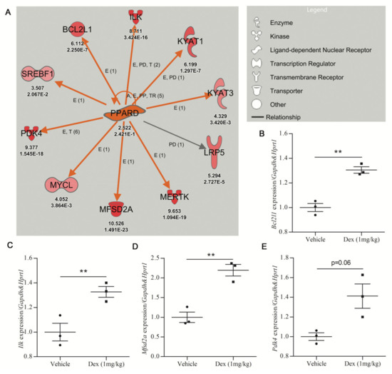 Separating the Wheat from the Chaff: The Use of Upstream Regulator ...
