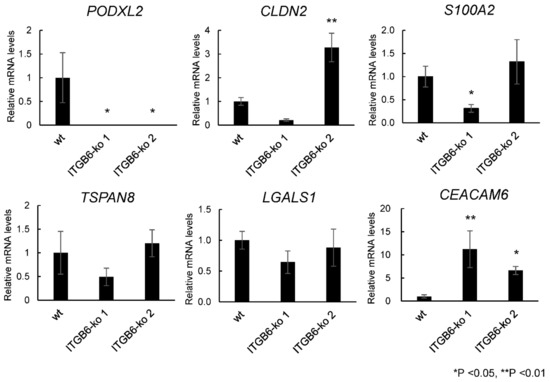 ITGB6-Knockout Suppresses Cholangiocarcinoma Cell Migration and ...