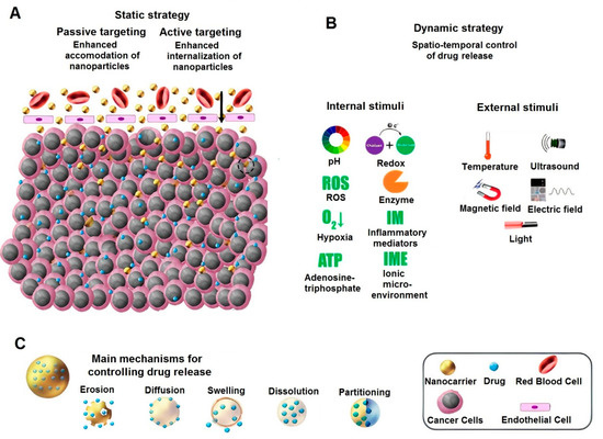 pHEMA: An Overview for Biomedical Applications