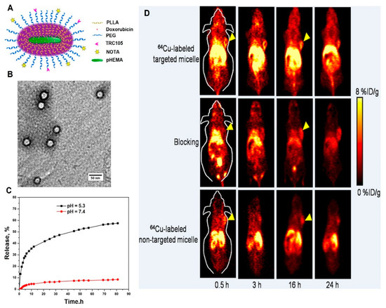pHEMA: An Overview for Biomedical Applications
