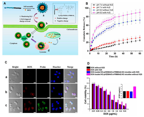 pHEMA: An Overview for Biomedical Applications