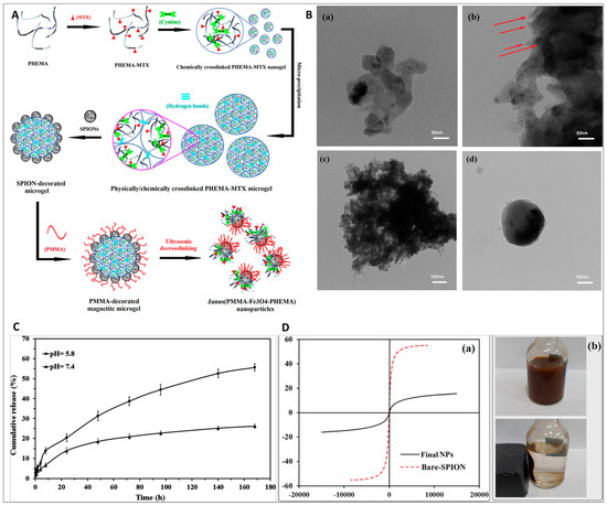 pHEMA: An Overview for Biomedical Applications