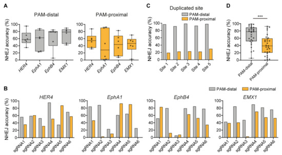 Analysis of NHEJ-Based DNA Repair after CRISPR-Mediated DNA Cleavage