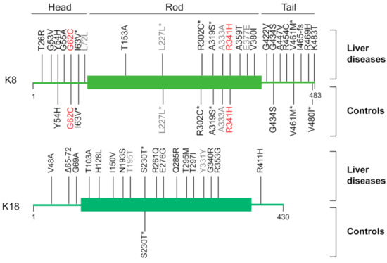 Revealing the Roles of Keratin 8/18-Associated Signaling Proteins ...