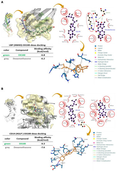 Ergosta-7, 9 (11), 22-trien-3β-ol Interferes with LPS Docking to LBP ...