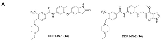 The Journey of DDR1 and DDR2 Kinase Inhibitors as Rising Stars in the ...