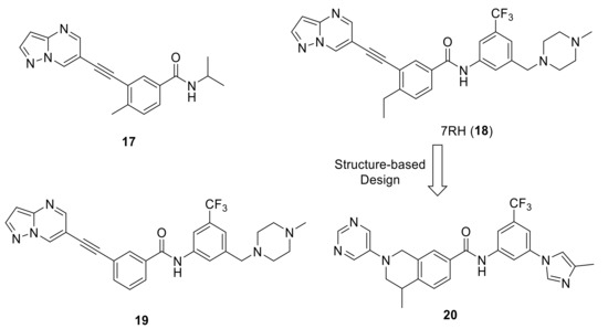 The Journey of DDR1 and DDR2 Kinase Inhibitors as Rising Stars in the ...