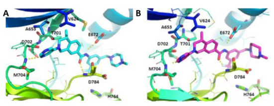 The Journey of DDR1 and DDR2 Kinase Inhibitors as Rising Stars in the ...