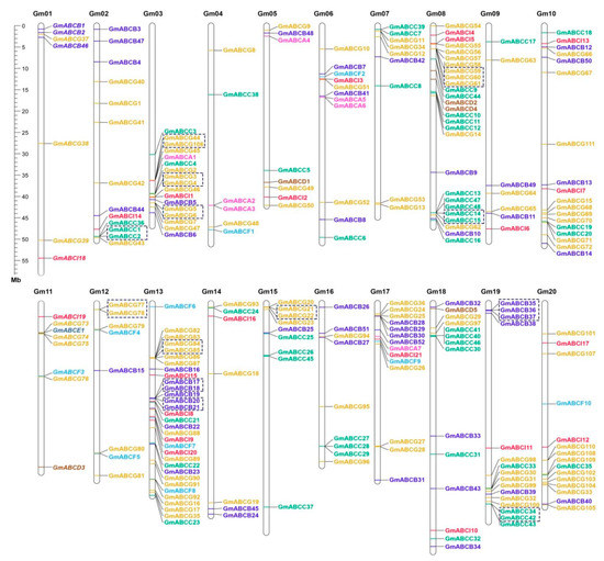 Genome-Wide Identification of Soybean ABC Transporters Relate to ...