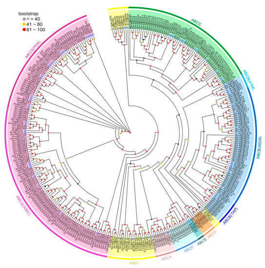 Genome-Wide Identification of Soybean ABC Transporters Relate to ...