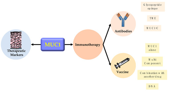 MUC1: Structure, Function, and Clinic Application in Epithelial Cancers