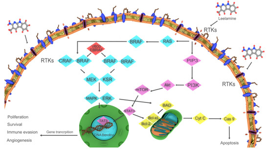Natural Phytochemicals Derived from Gymnosperms in the Prevention and ...