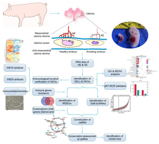 Integrated Insight into the Molecular Mechanisms of Spontaneous ...