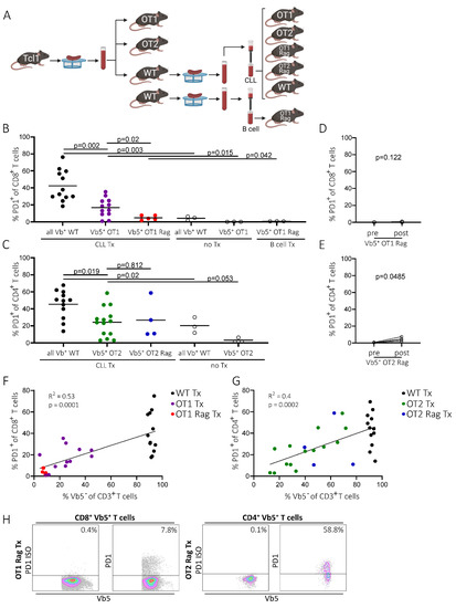 Evidence for Non-Cancer-Specific T Cell Exhaustion in the Tcl1 Mouse ...
