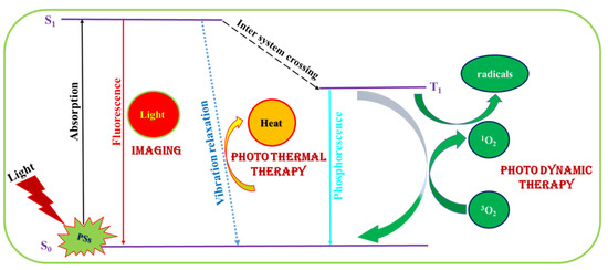 Photosensitizer-Functionalized Nanocomposites for Light-Activated ...