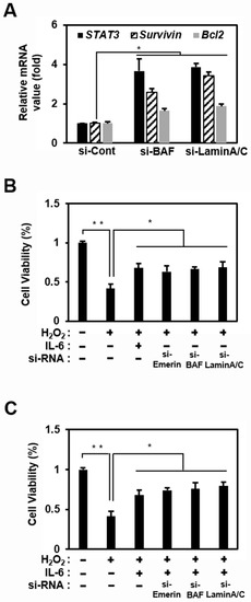 Emerin Represses STAT3 Signaling through Nuclear Membrane-Based Spatial ...