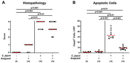 Treatment with the Probiotic Product Aviguard® Alleviates Inflammatory ...