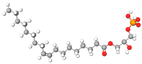 The LPA3 Receptor: Regulation and Activation of Signaling Pathways
