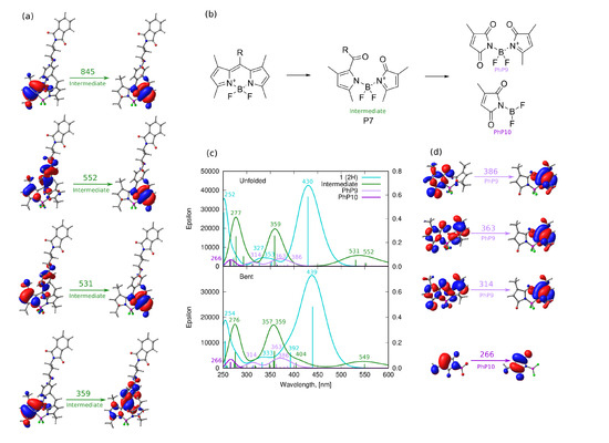 Photochemical Properties and Stability of BODIPY Dyes
