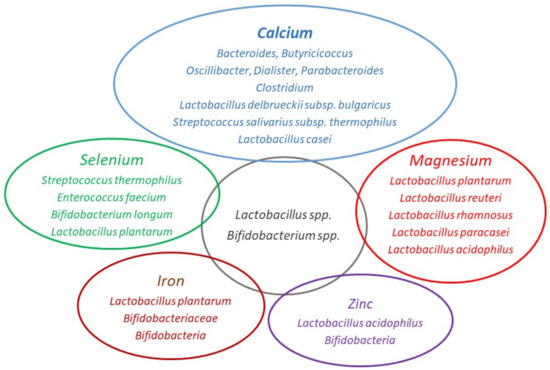 Ijms Free Full Text Bioaccessibility And Bioavailability Of