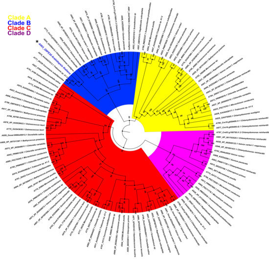 An Ancestry Perspective of the Evolution of PBS1 Proteins in Plants